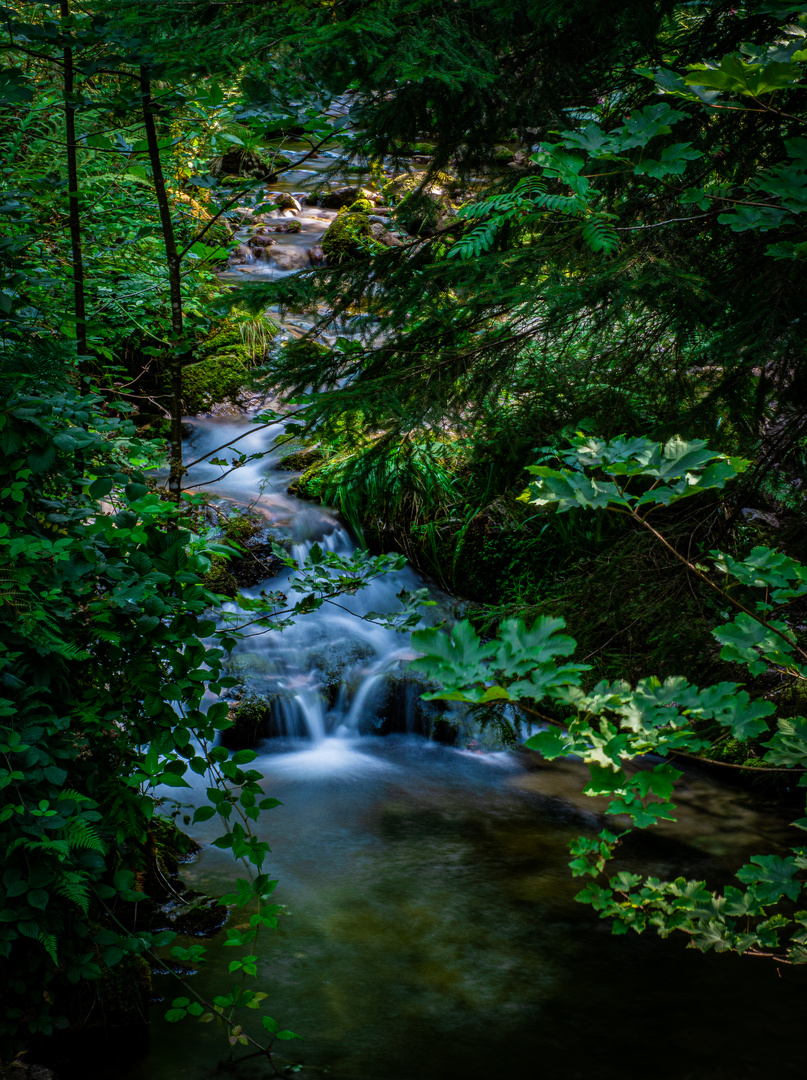 Follow the flow Foto & Bild | landschaft, bach, fluss & see ...