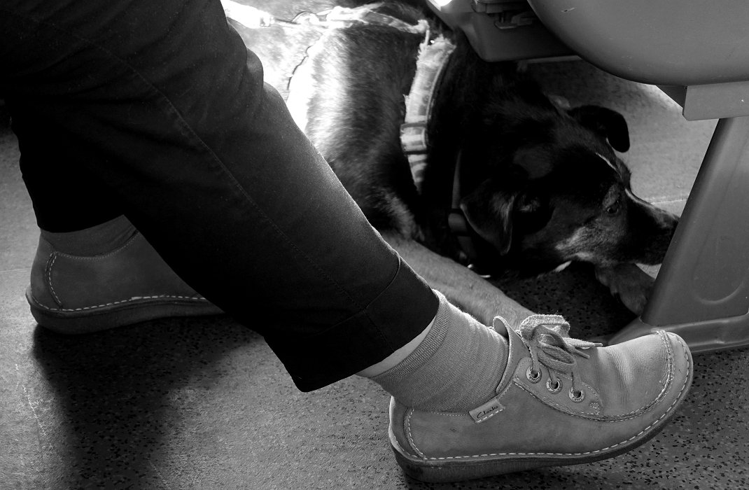 Foot [Südbahn-Exkursion 2017] Foto & Bild | street, schuhe, hunde Bilder auf fotocommunity