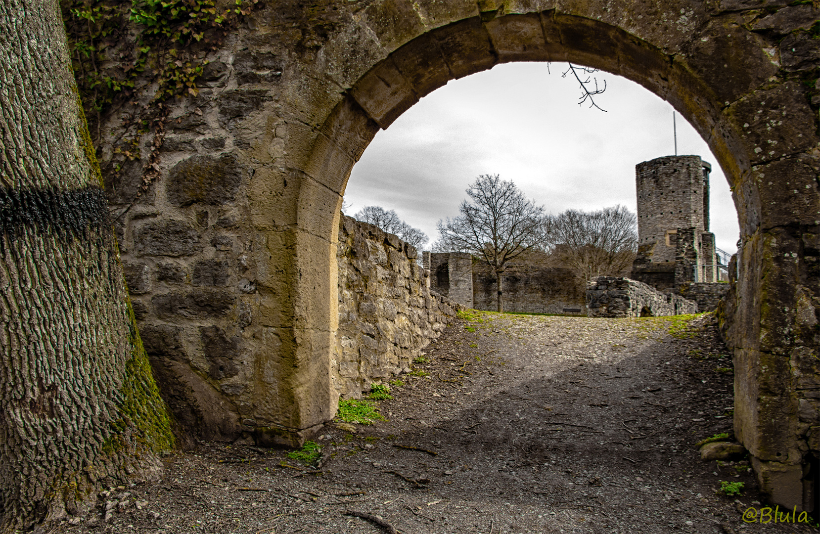Forchtenberg, Burgruine Foto & Bild | deutschland, tor, mittelalter ...