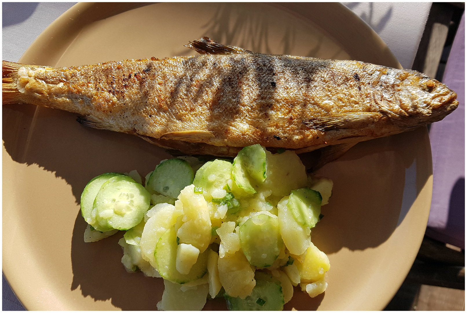 Forelle.... Foto & Bild | fotos, world, dokumentation Bilder auf ...