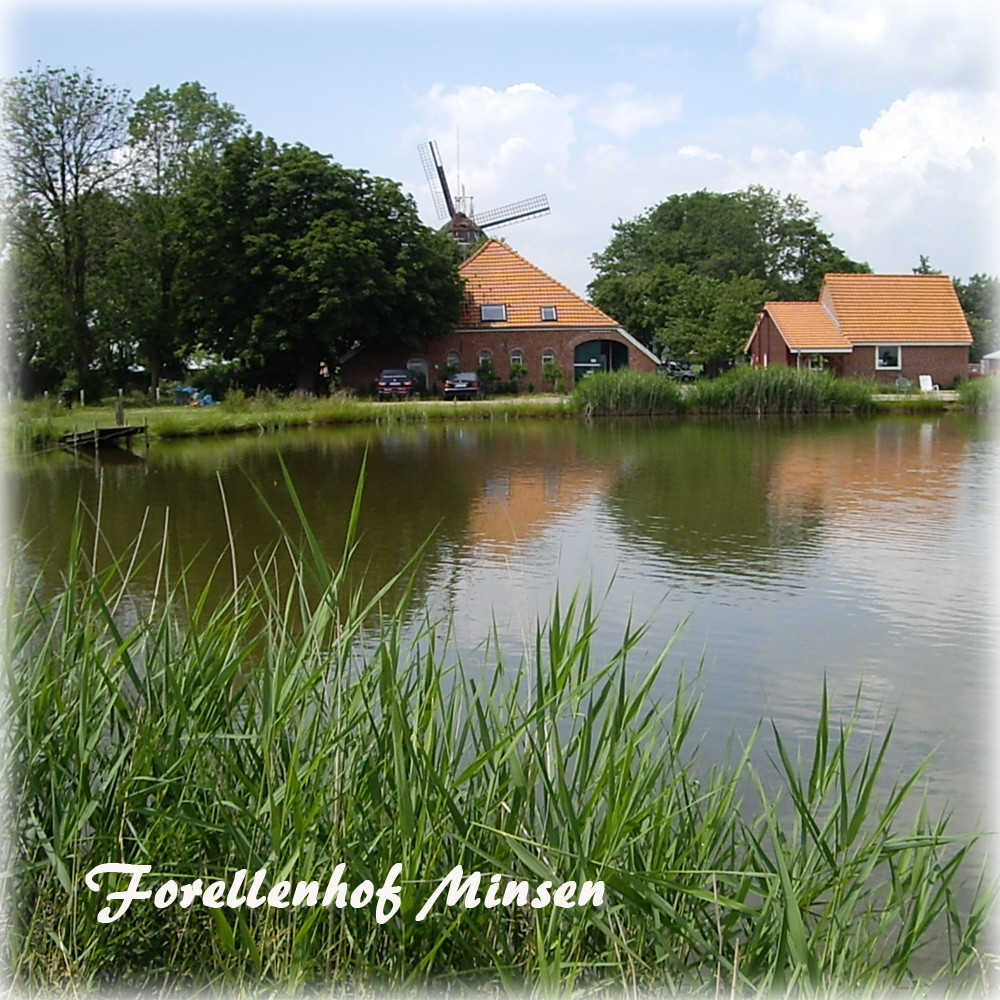 Forellenteich in Minsen...wunderschön zum entspannen Foto & Bild ...