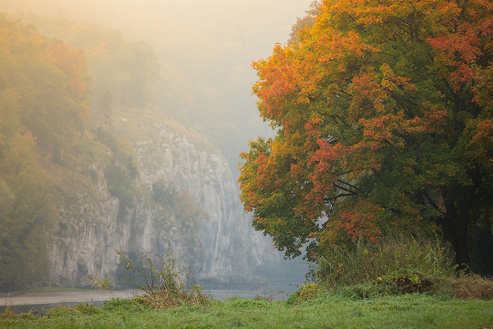 forever autumn Foto & Bild | natur, herbst, landschaft Bilder auf ...
