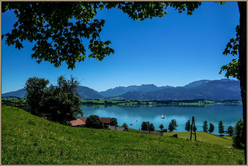 Forggensee Foto & Bild | world, bayern, deutschland Bilder auf ...