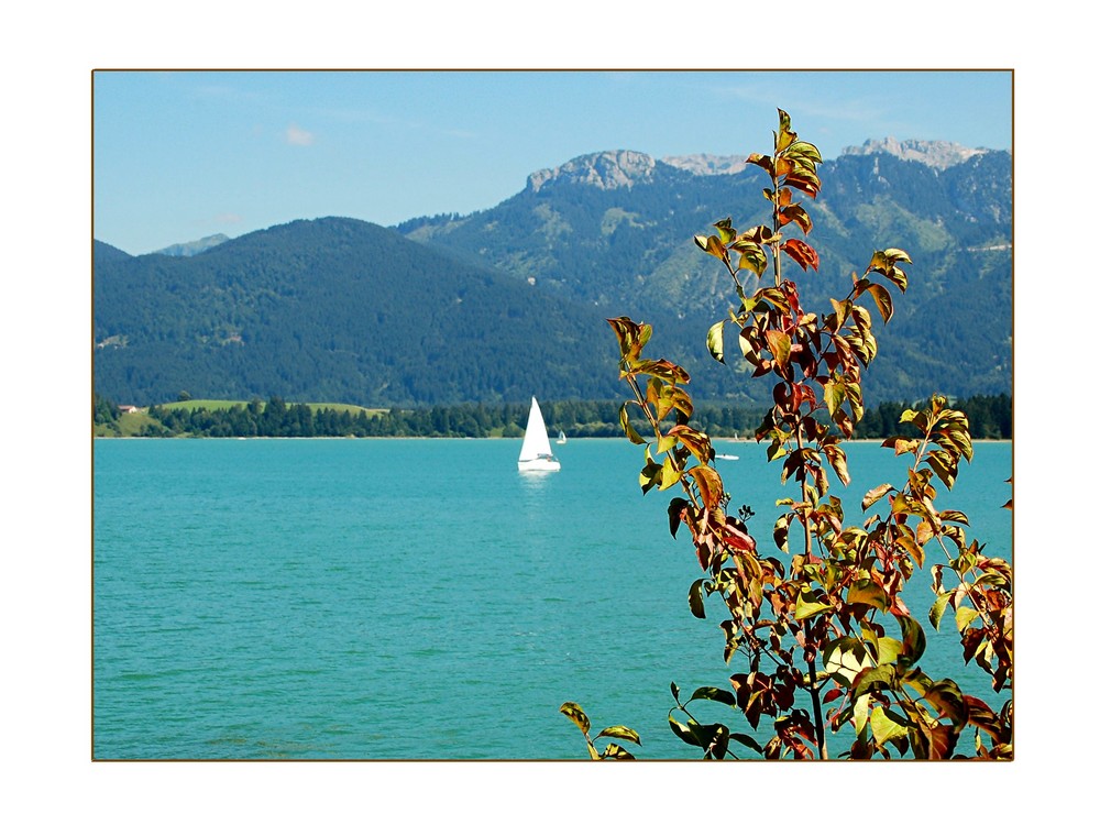 Forggensee Foto & Bild | deutschland, europe, bayern Bilder auf ...