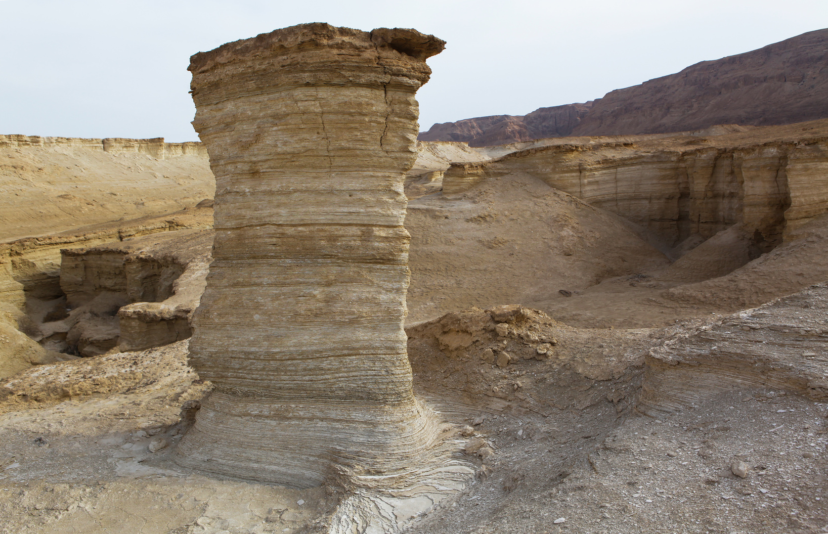 Formen der Wüste Foto & Bild | world, israel, asia Bilder auf fotocommunity
