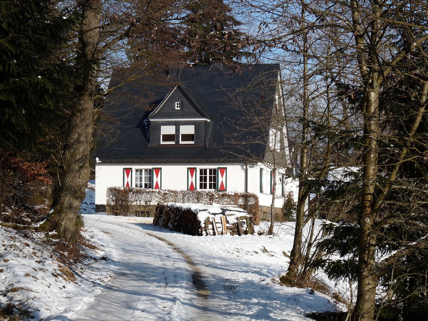 Forsthaus Immergrün Foto & Bild | landschaft, wald, natur Bilder auf ...