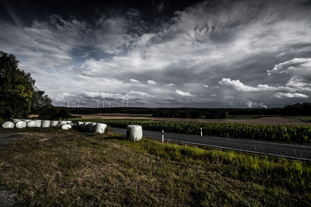 Foto des Tages Foto & Bild | Bilder auf fotocommunity