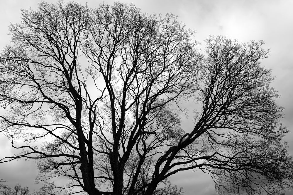 Fotografik Foto & Bild | div, bw, monochrome Bilder auf fotocommunity