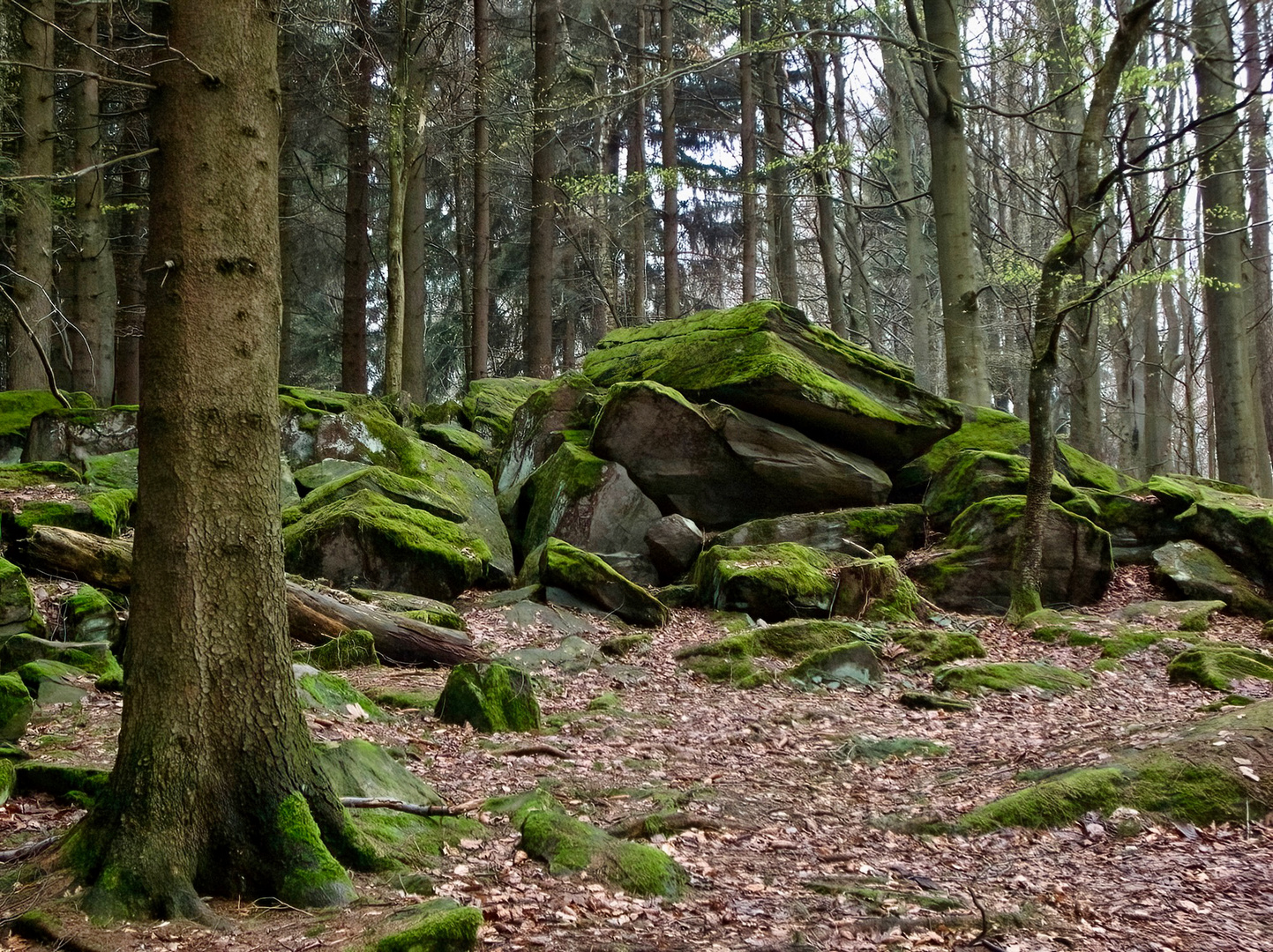 Fototour zur Milseburg ... Foto & Bild | reportage dokumentation, landschaft, sonstiges Bilder ...