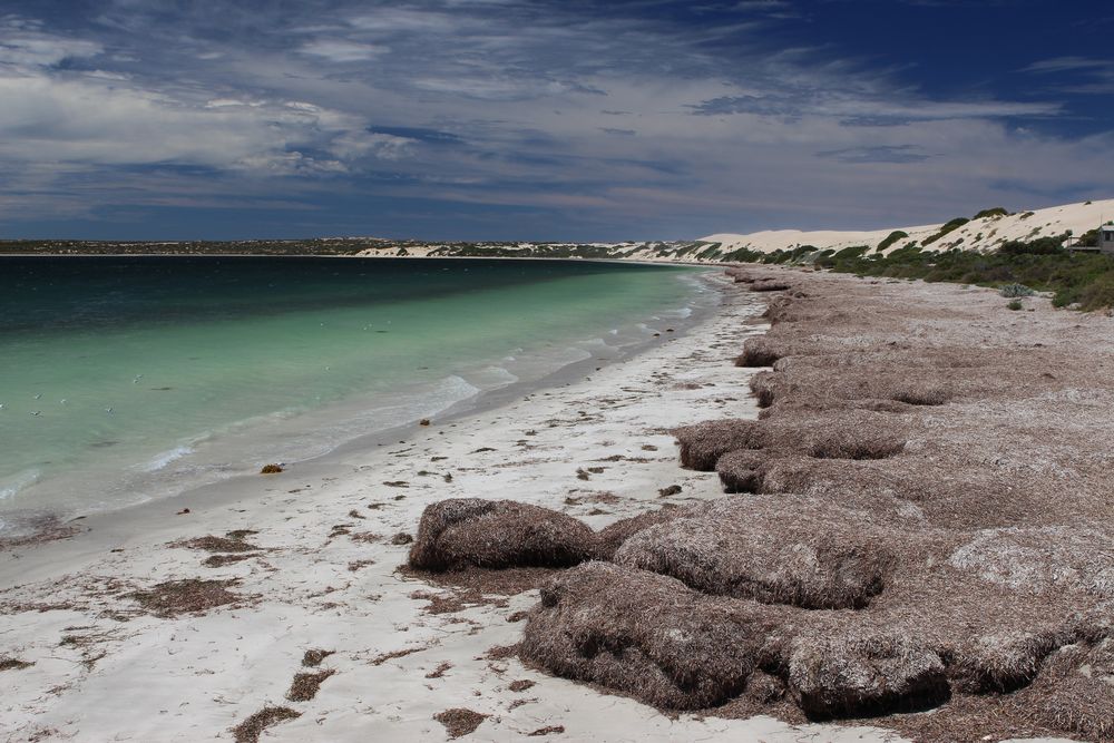 Fowlers Bay / South Australia Foto & Bild | landschaft, meer & strand ...