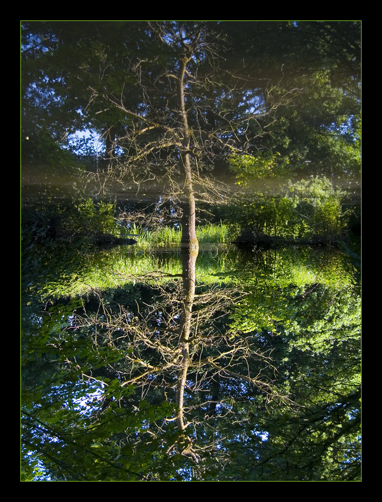 ...fpoK med fuA Foto & Bild | landschaft, bach, fluss & see, see, teich ...