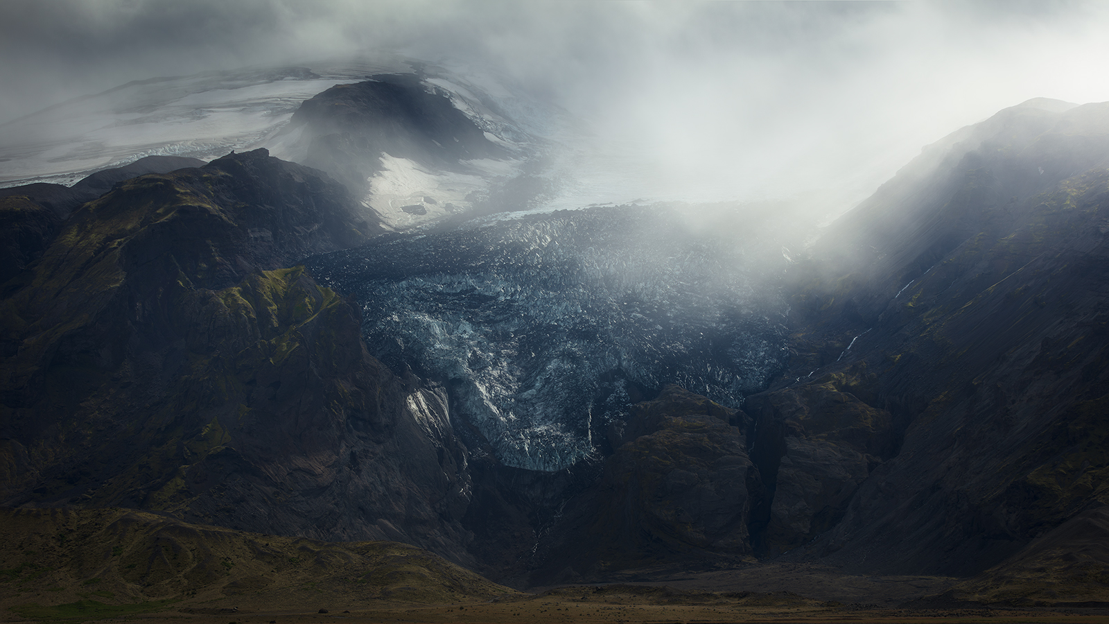 fragile beauty ] Foto & Bild | nature, world, sommer Bilder auf ...