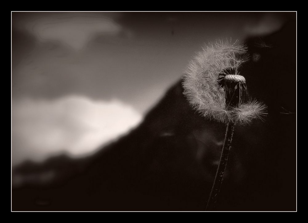 Fragilité photo et image | animations photographiques, un jour - une ...