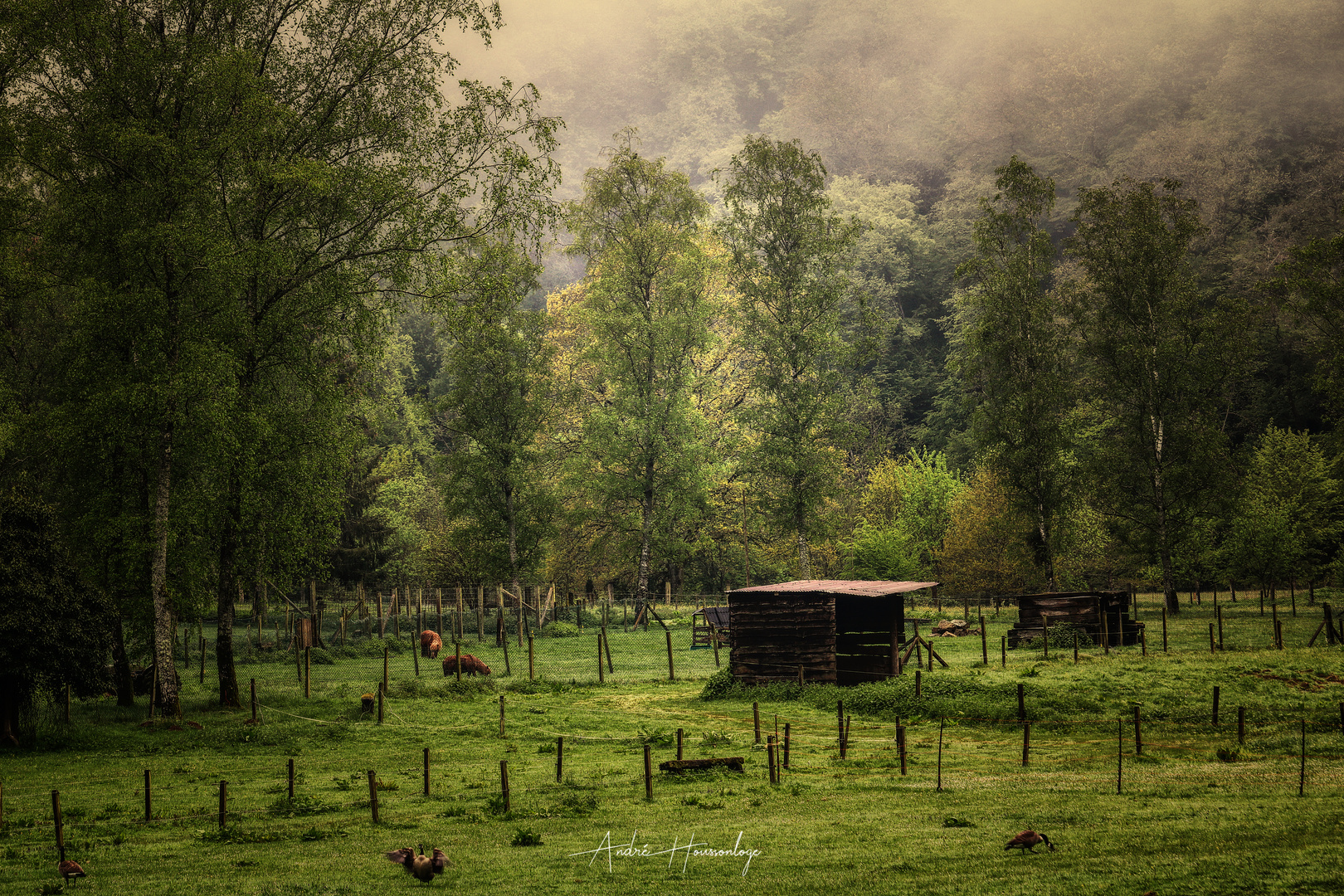 Frahan photo et image | paysages, lacs, rivières, cascades, nature ...