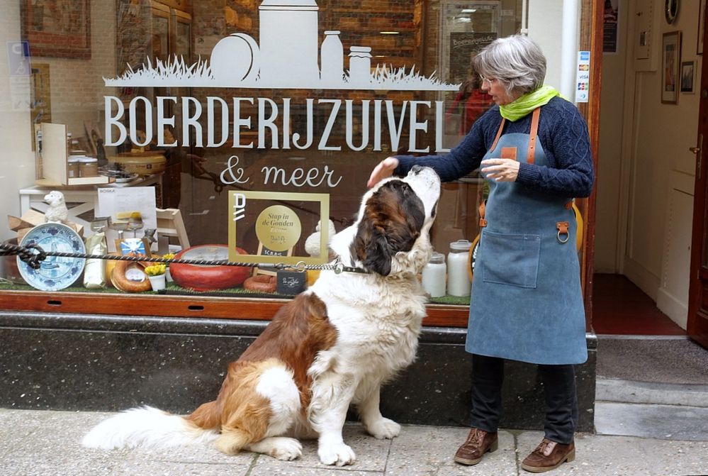 Frau mit Hund 28 Foto & Bild | europe, benelux, streetfotografie mit menschen Bilder auf ...