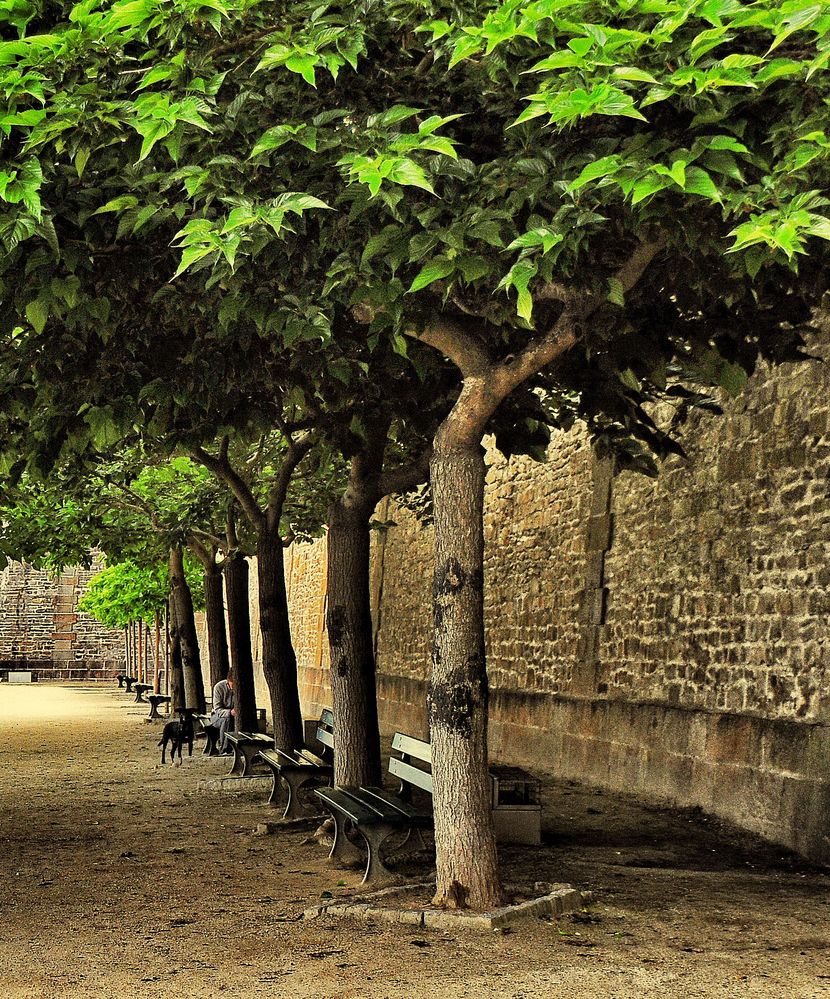 frau mit hund Foto & Bild | streetfotografie mit menschen, streets & people, menschen Bilder auf ...