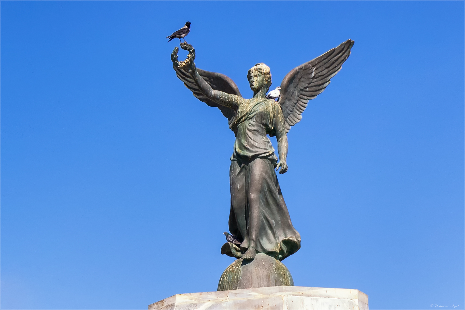 Frau Mustermann Foto & Bild | stillleben, figuren und miniaturen ...