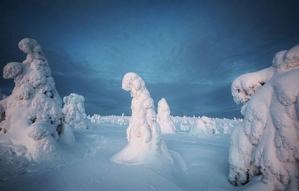 Freeze Foto & Bild | landschaft, jahreszeiten, winter Bilder auf ...