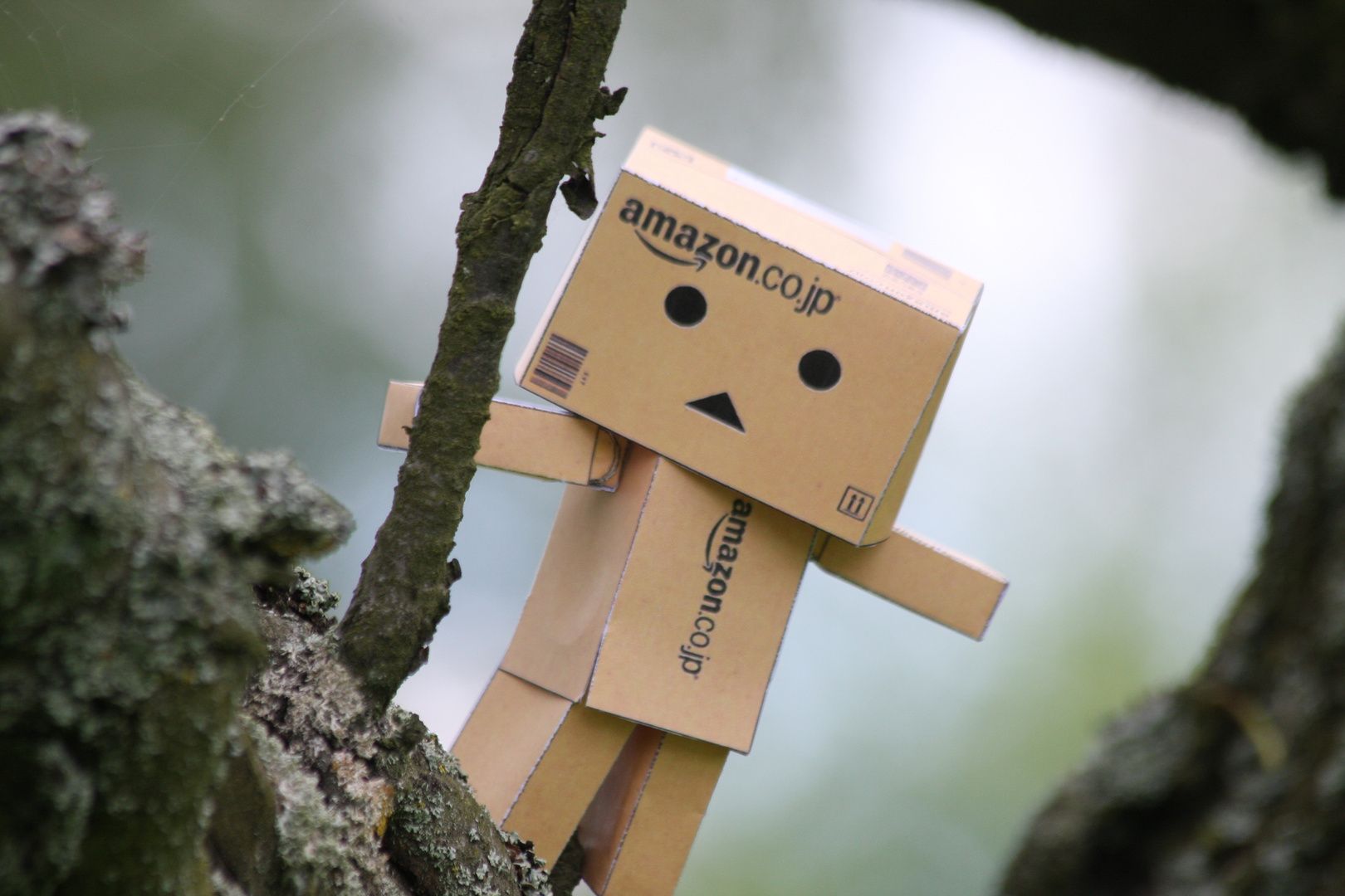 Frei! Foto & Bild | abstraktes, erster, #dunbo Bilder auf fotocommunity