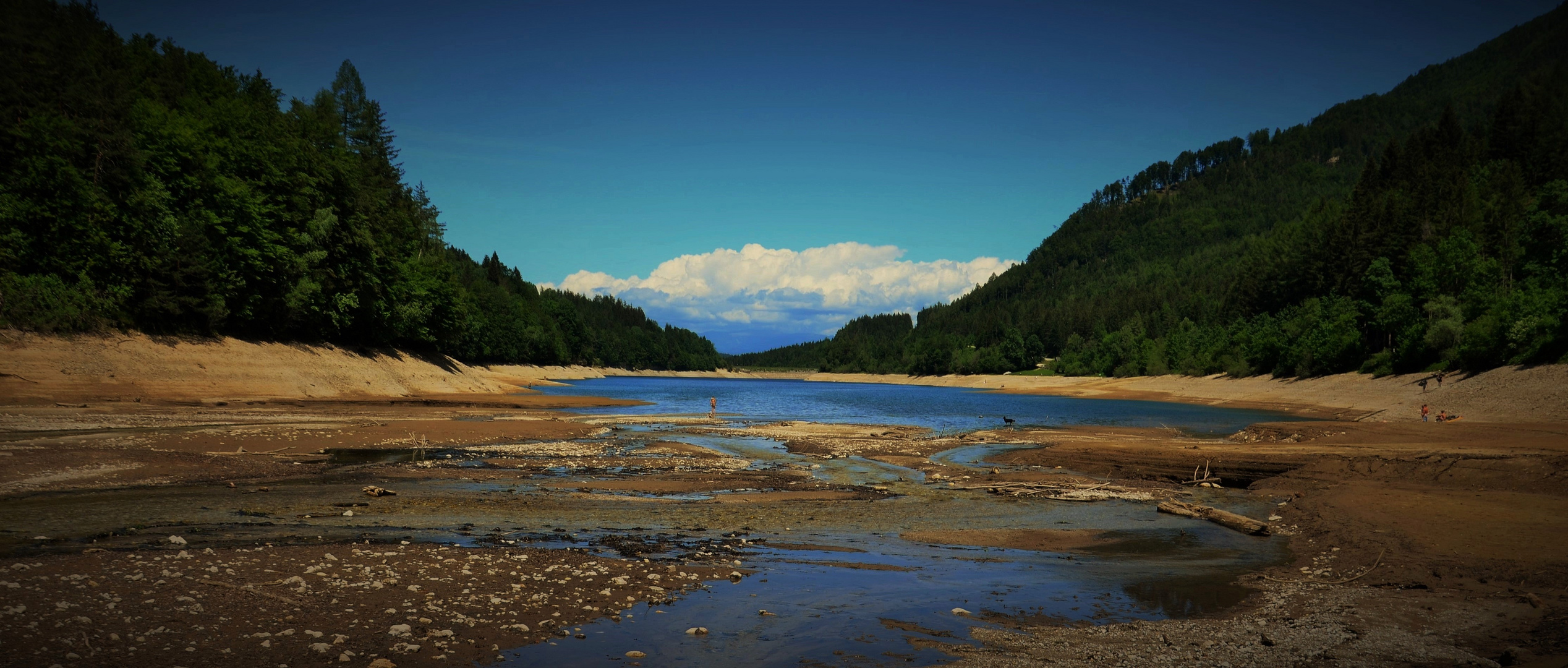 Freibacher Stausee Foto & Bild | landschaft, bach, fluss & see, bäume Bilder auf fotocommunity