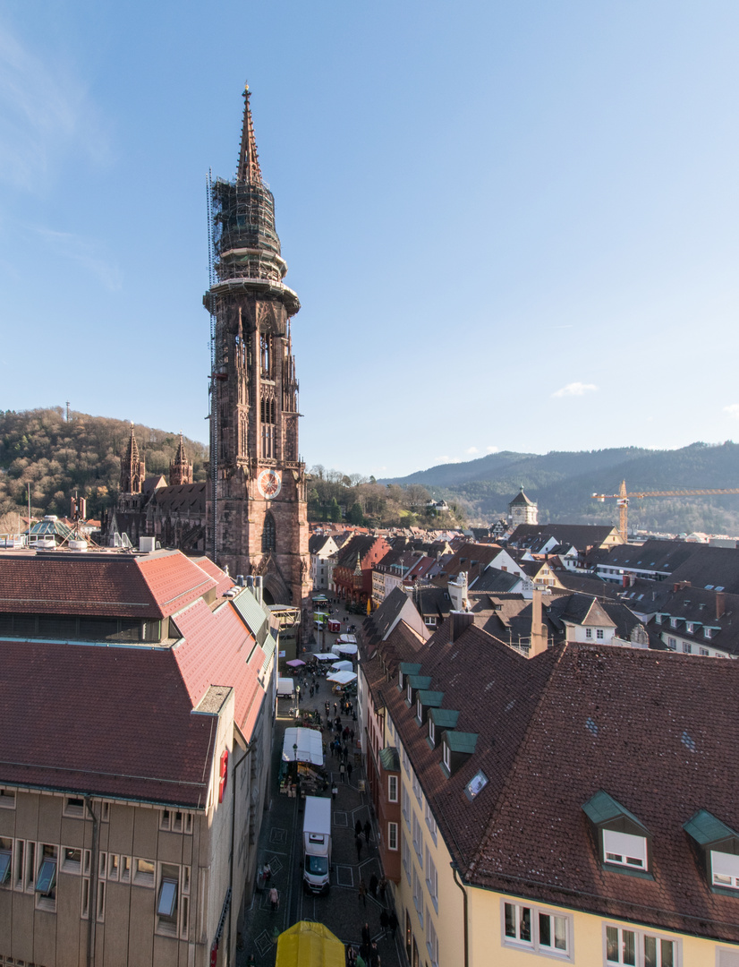 Freiburger Münster Foto & Bild | architektur, sakralbauten ...