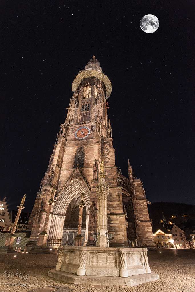 Freiburger Münster bei Nacht Foto & Bild | architektur, architektur bei ...