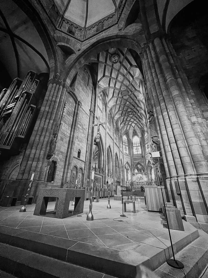 Freiburger Münster Foto & Bild | architektur, deutschland, europe ...