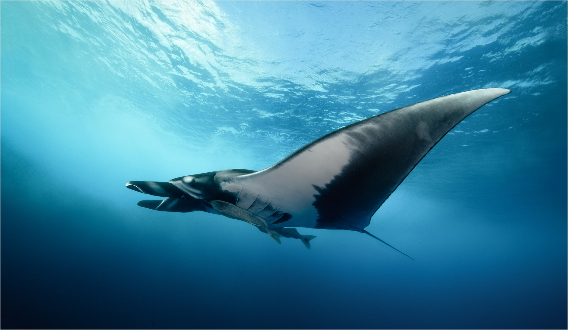 Freier Flug Foto & Bild | north america, mexico, landschaft Bilder auf ...