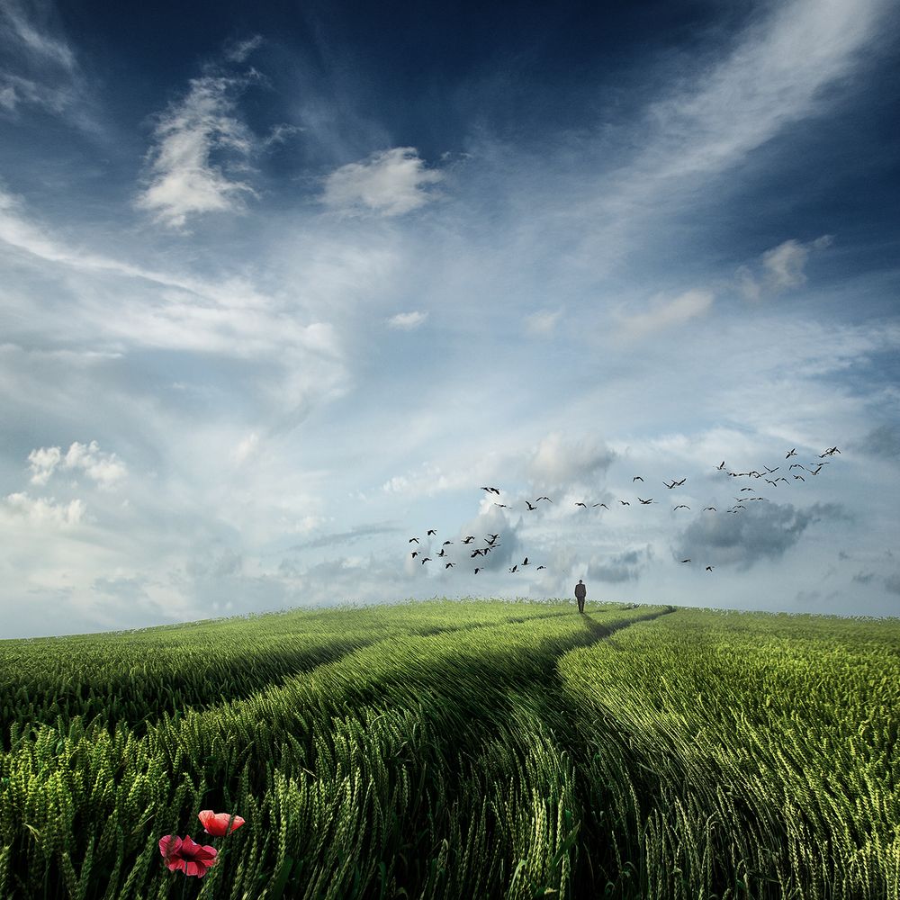 Freiheit Foto & Bild | fotomontage, fantasy mystery, sommer Bilder auf fotocommunity