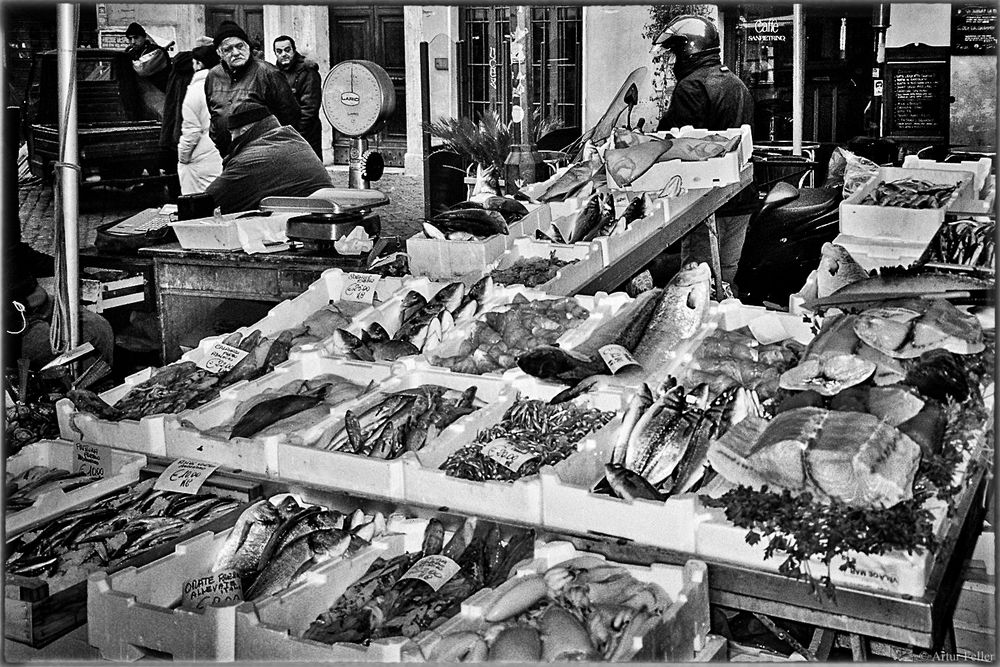 Freitag ist Fischtag Foto & Bild | streetfotografie mit menschen, projekte, kommunikation ...