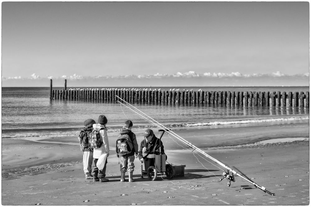 Freitag ist Fischtag ***** Foto & Bild | dokumentation, wasser, meer Bilder auf fotocommunity