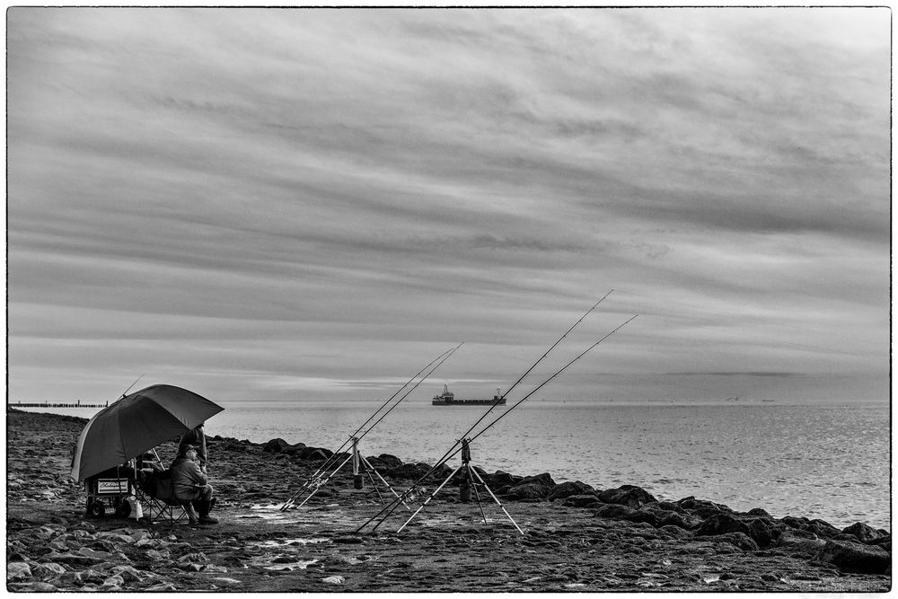 Freitag ist Fischtag Foto & Bild | sport, streetfotografie mit menschen, projekte Bilder auf ...