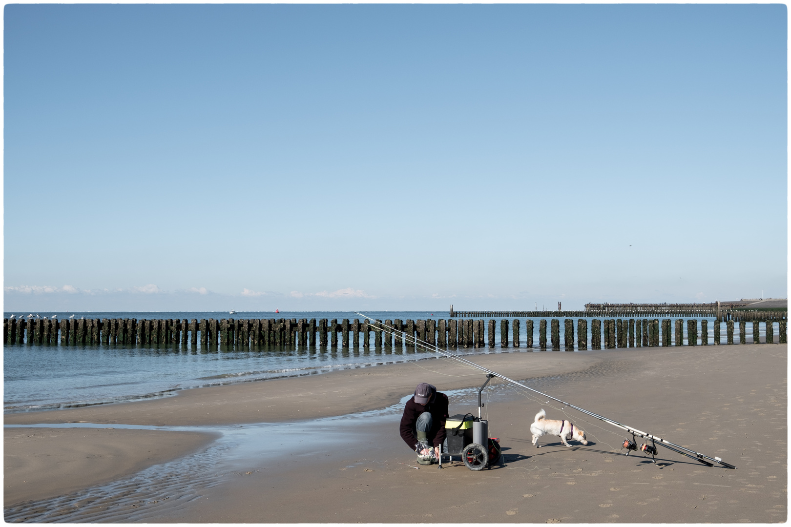 Freitag ist Fischtag Foto & Bild | erwachsene menschen, landschaft, meer & strand Bilder auf ...