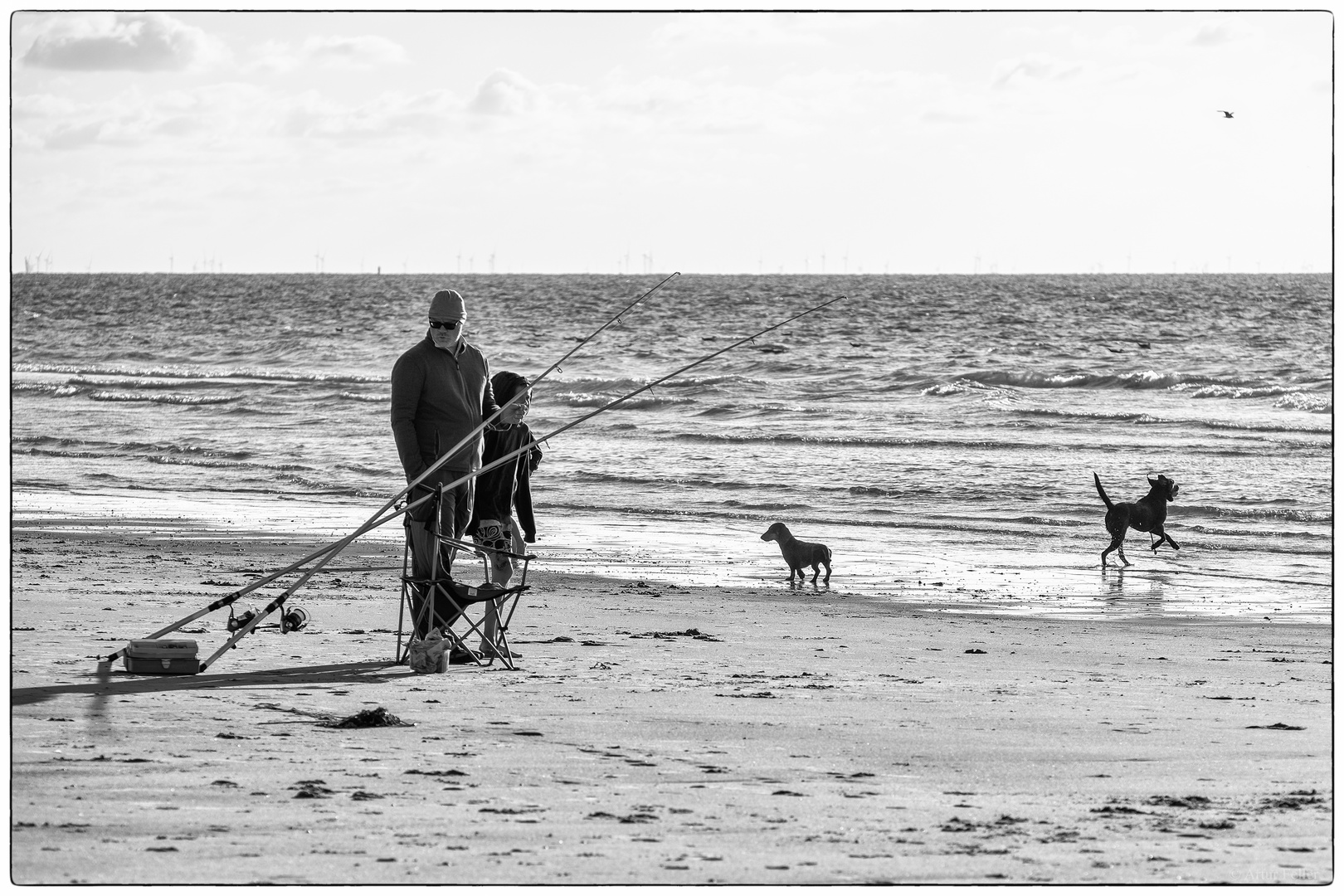 Freitag ist Fischtag Foto & Bild | streetfotografie mit menschen, projekte, kommunikation ...