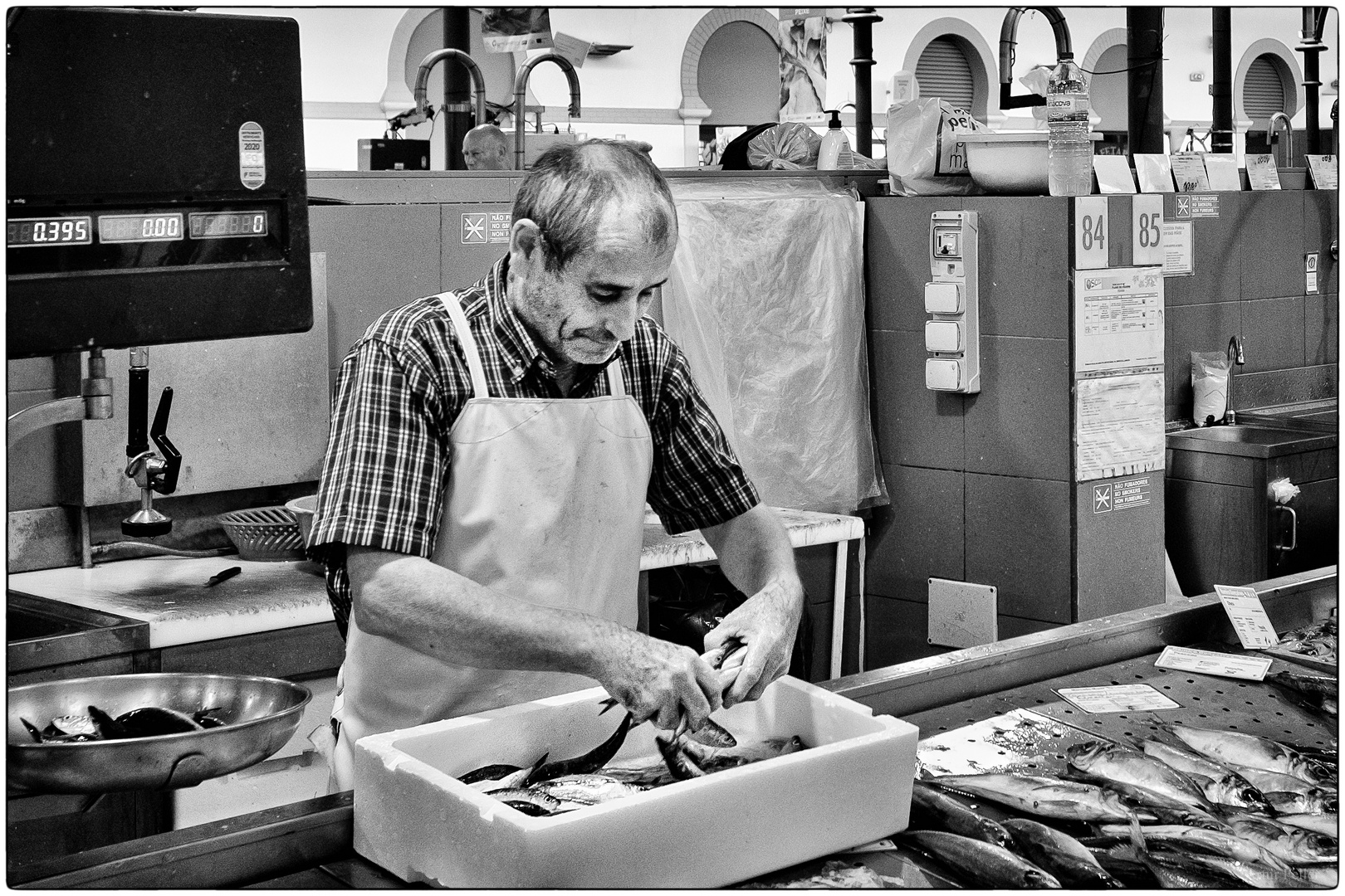 Freitag ist Fischtag Foto & Bild | erwachsene menschen, projekte, menschen bei der arbeit Bilder ...