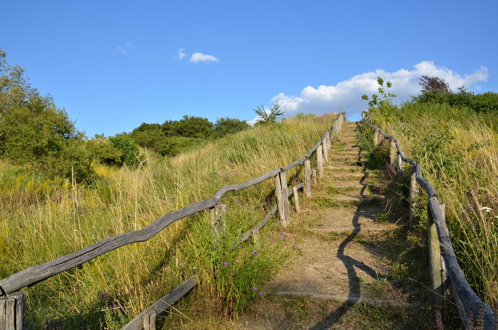 Freizeitpark Marienfelde....... Foto & Bild | landschaften, berlin ...