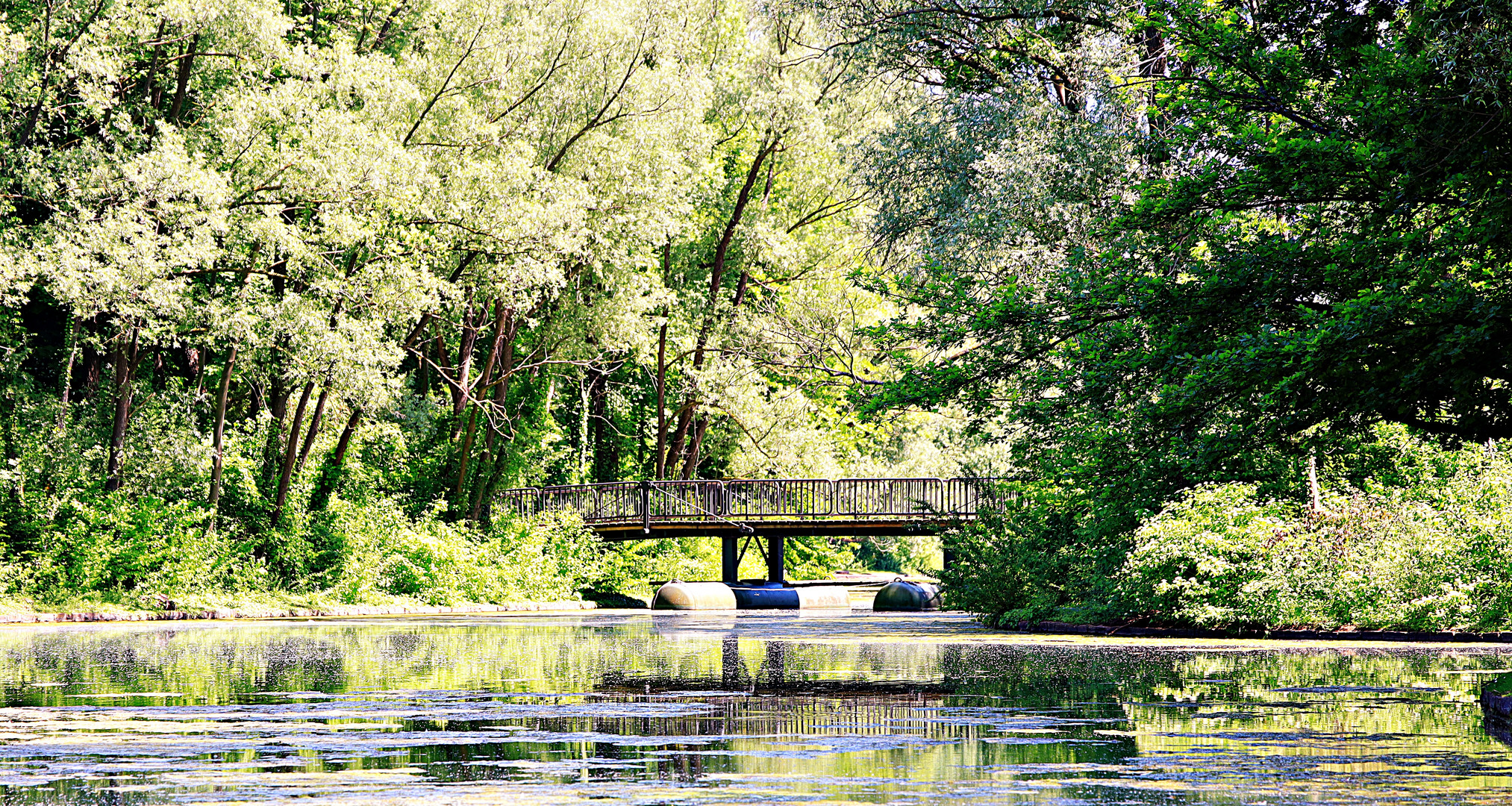 Freizeitpark Rheinaue Foto & Bild | deutschland, europe, nordrhein ...