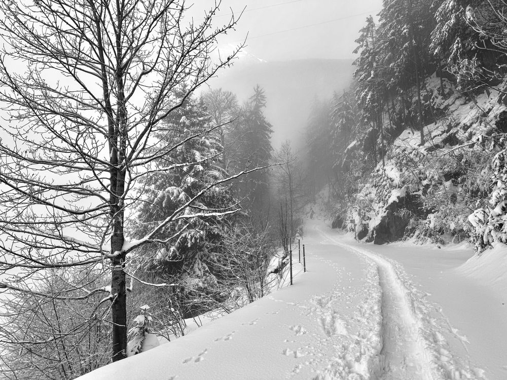 Frentschenberg Foto & Bild | landschaft, jahreszeiten, winter Bilder auf fotocommunity