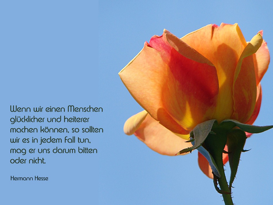 Freude bereiten Foto & Bild | karten und kalender, karten 2009, spezial ...