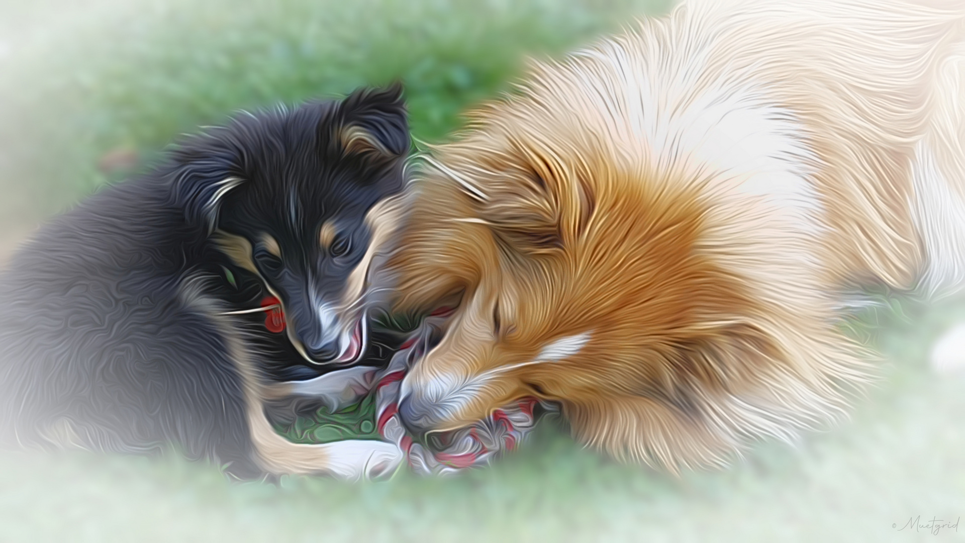 Freunde Foto & Bild | spezial, outdoor, hunde Bilder auf fotocommunity