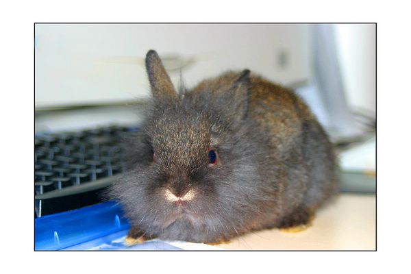 Berit Berger - Fotos & Bilder - Fotografin aus Dresden, Deutschland ...