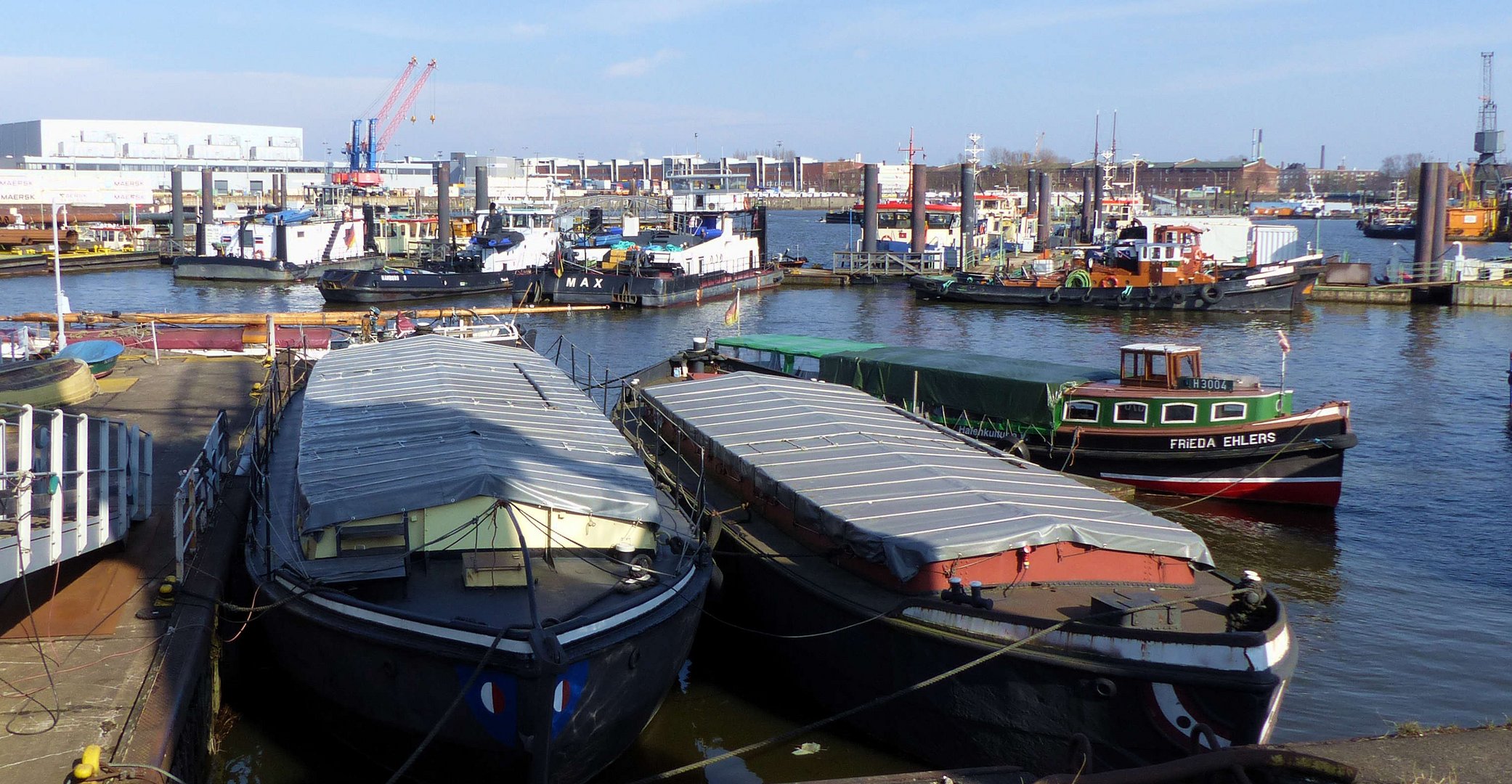 Frieda und Max:-) Foto & Bild | mmmm Bilder auf fotocommunity