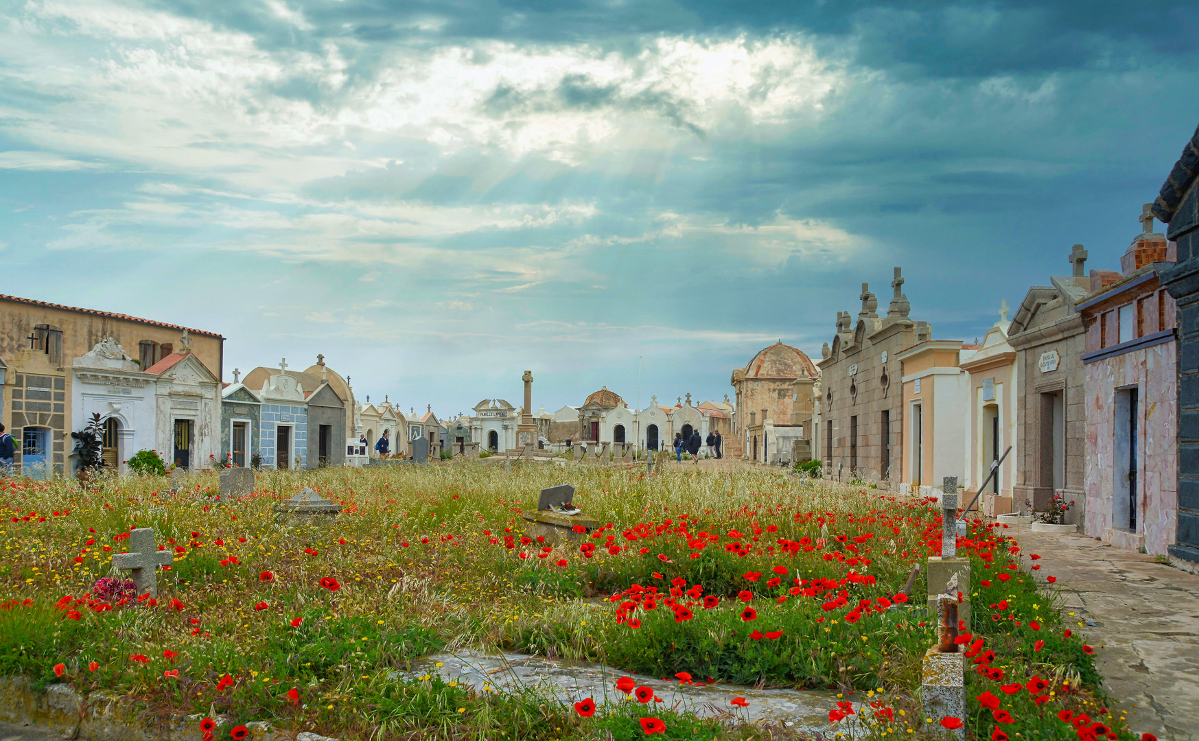 Friedhof Bonifacio II Foto & Bild | flowers, france, world Bilder auf ...
