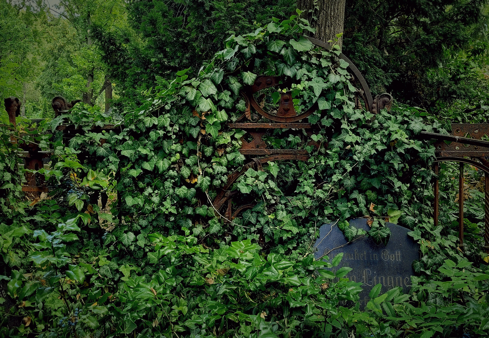 ...Friedhof-Romantik... Foto & Bild | marode, dokumentation, berlin ...