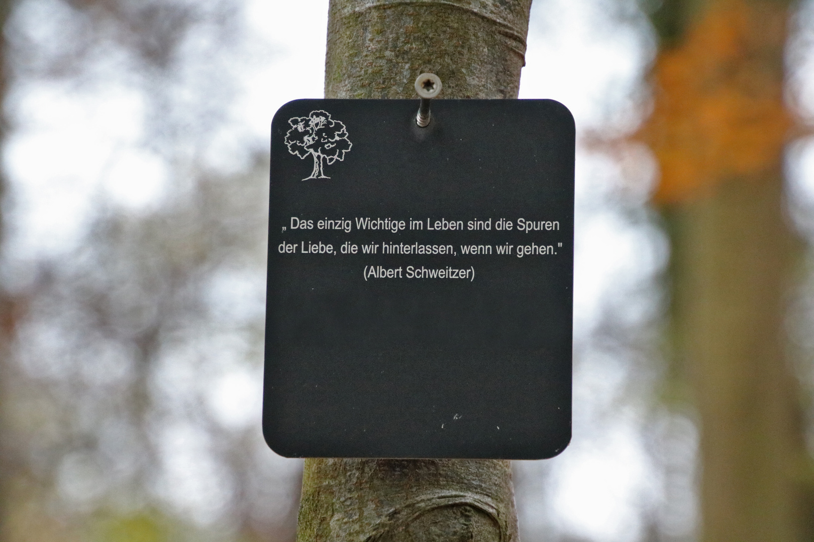 Friedwald Foto & Bild | fotos, spezial, dokumentation Bilder auf ...