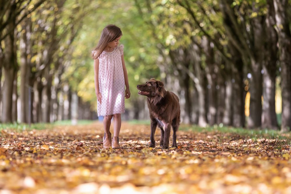 friendship... Foto & Bild | tiere, tier und mensch, hunde Bilder auf ...