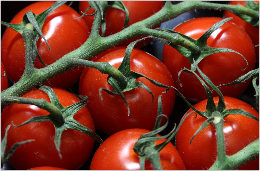 Frisch Foto & Bild | stillleben, food-fotografie, obst & gemüse Bilder ...