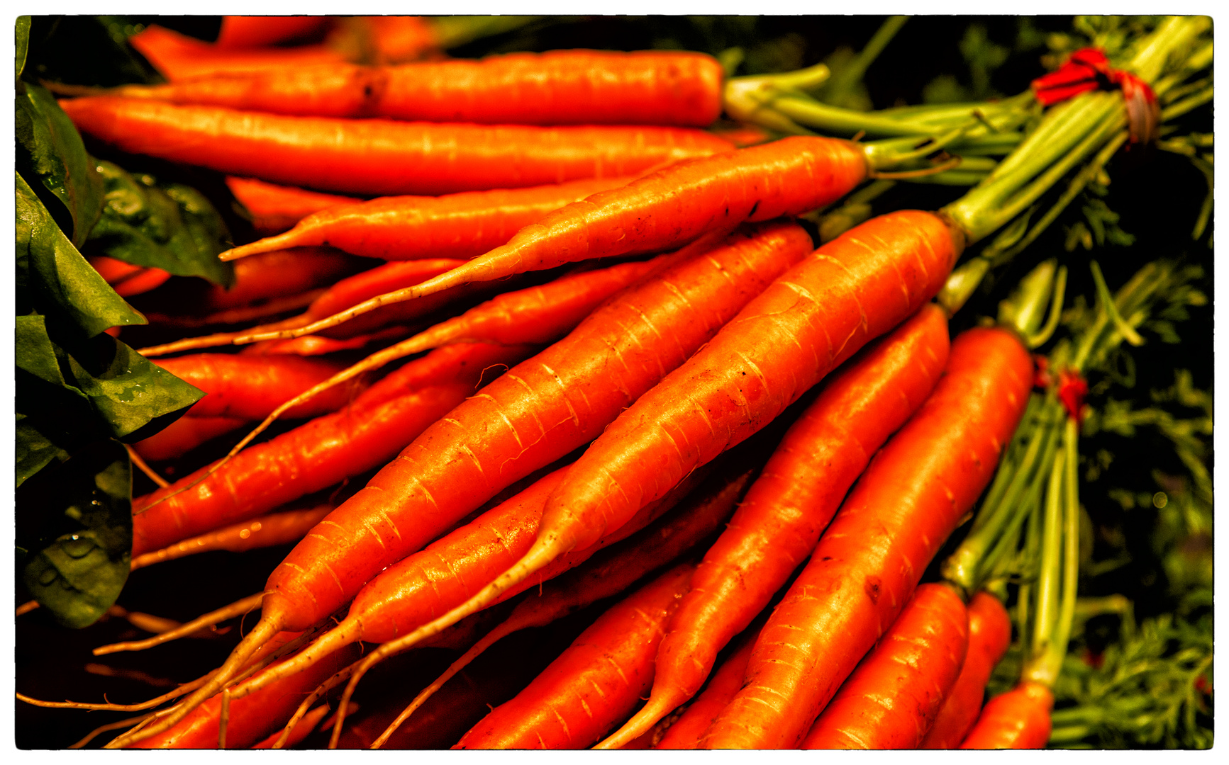 Frische Karotten Foto & Bild | stillleben, food-fotografie, obst ...