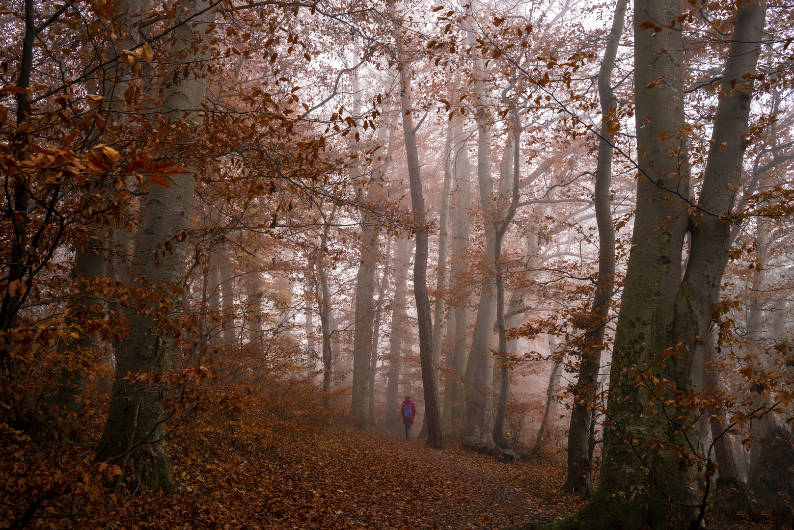 Frische Luft atmen..... Foto & Bild | deutschland, europe, bayern ...