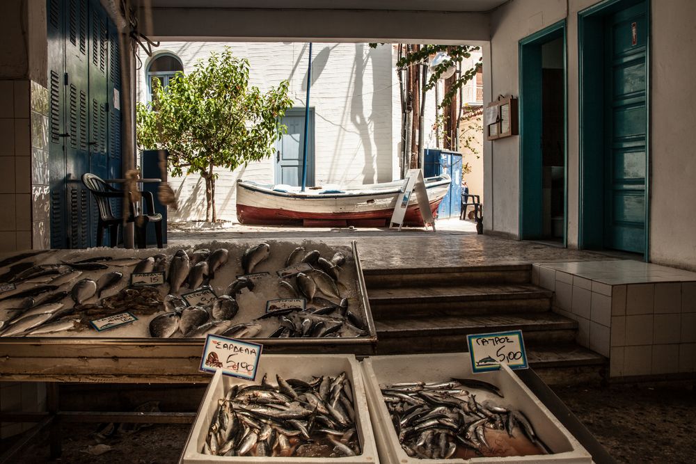 Frischer Fisch Foto & Bild | reportage dokumentation, griechenland ...